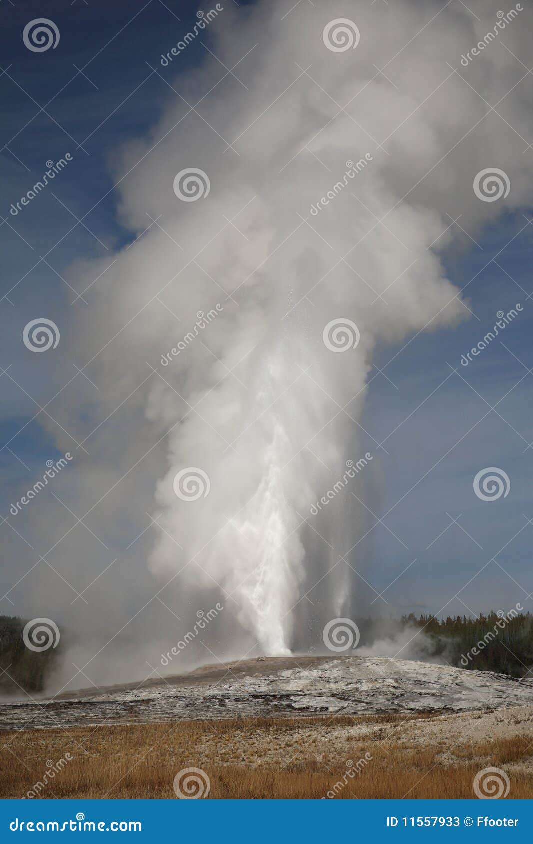Old Faithful - Yellowstone National Park Stock Image - Image of ...