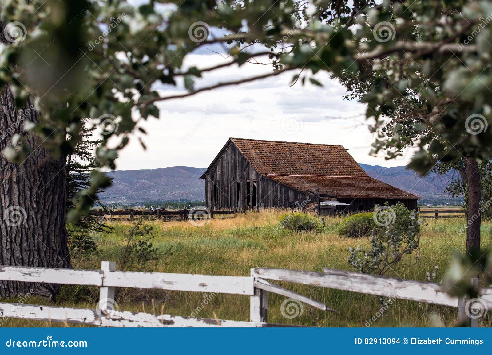 Old Falling Down Barn in a Field Stock Photo - Image of meadow, scrap ...
