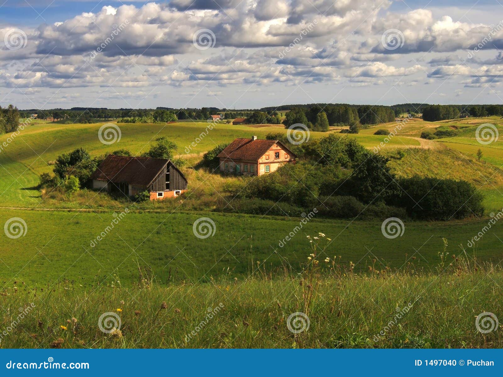 Old farm stock photo. Image of landscape, flower, blue - 1497040