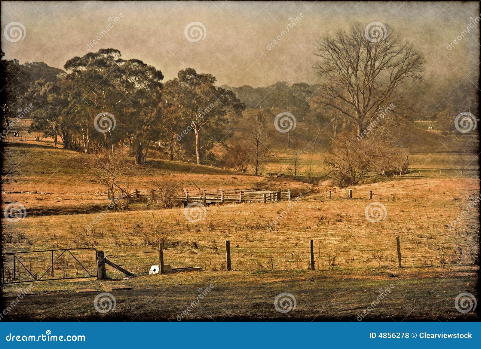 Old farm stock photo. Image of nature, outside, farm, field - 4856278