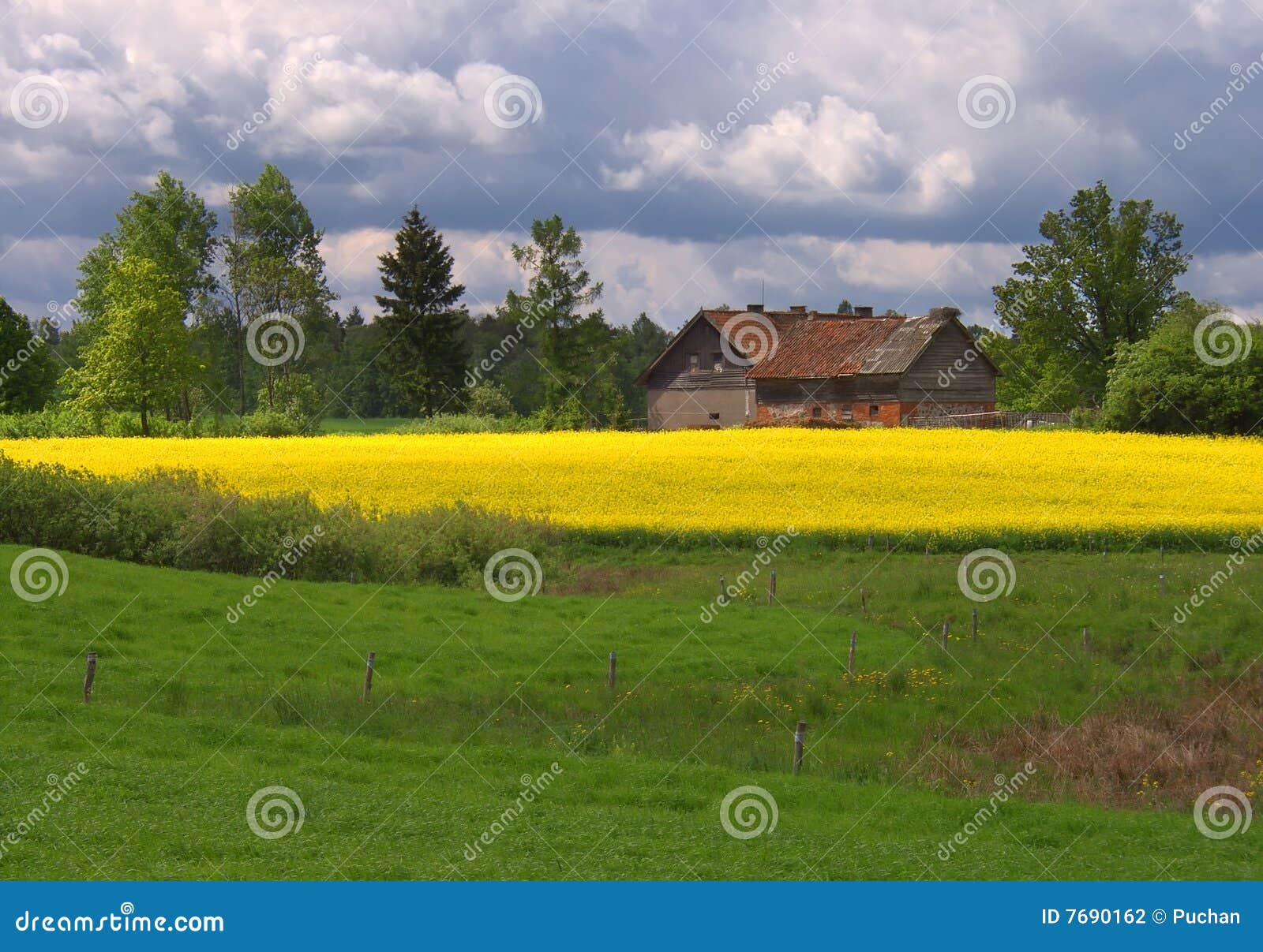 Old farm stock photo. Image of summer, yellow, farm, barn - 7690162