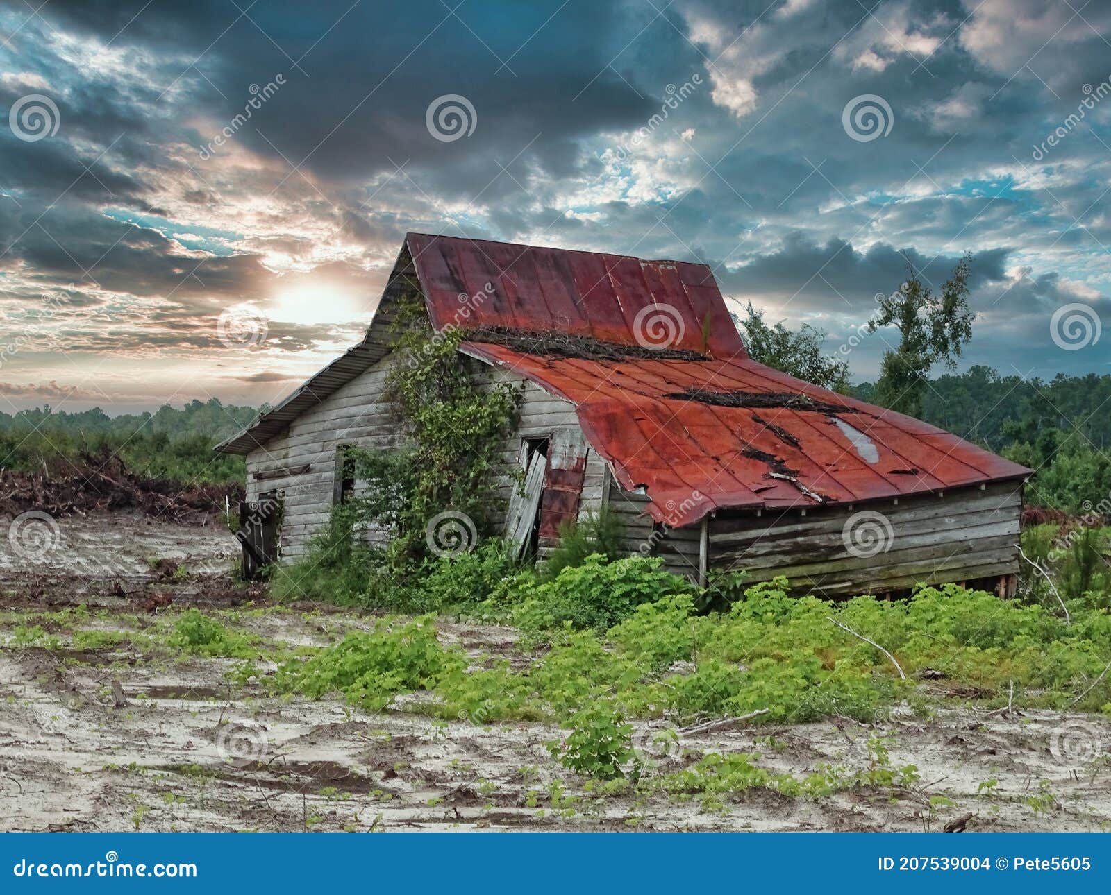 1930 old farm barn stock photo. Image of countryside - 207539004