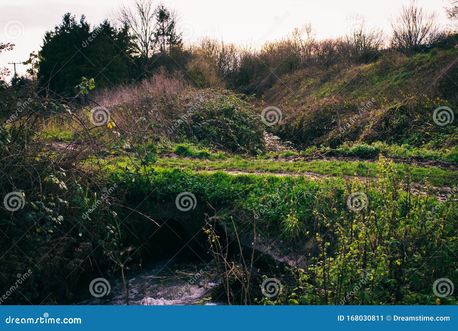 An Old Farm Bridge Over Flooded Water. Stock Image - Image of bridge ...