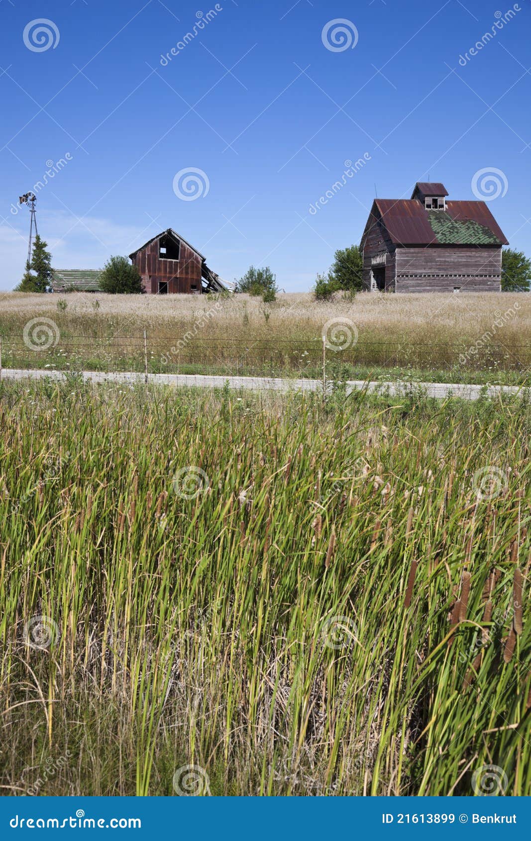 Old Farm Buildings in the Middle of Field Stock Image - Image of ...