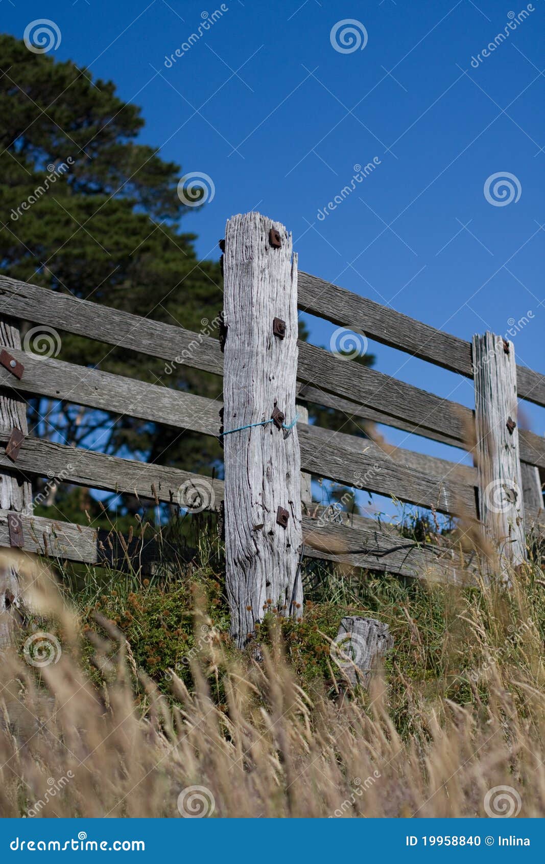 Old Farm Fence on Blue Sky Background Stock Photo - Image of green ...