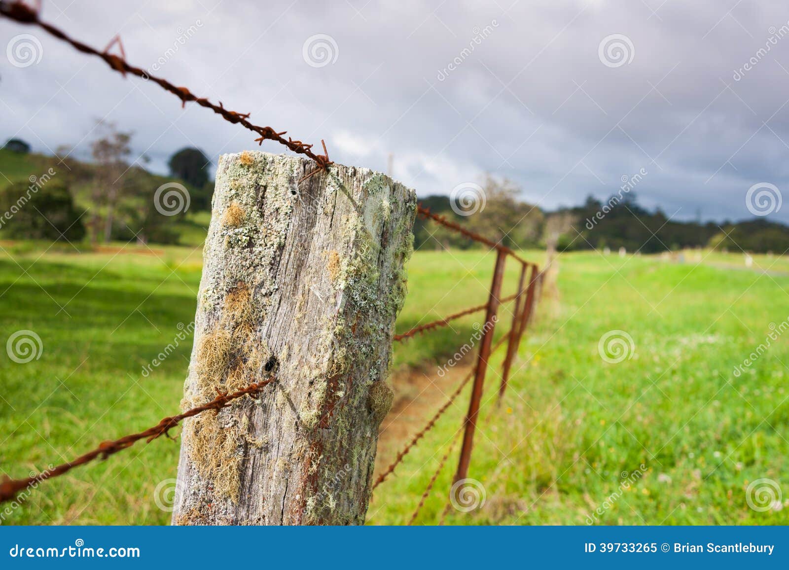 Old farm fence. stock image. Image of view, estate, barbed - 39733265