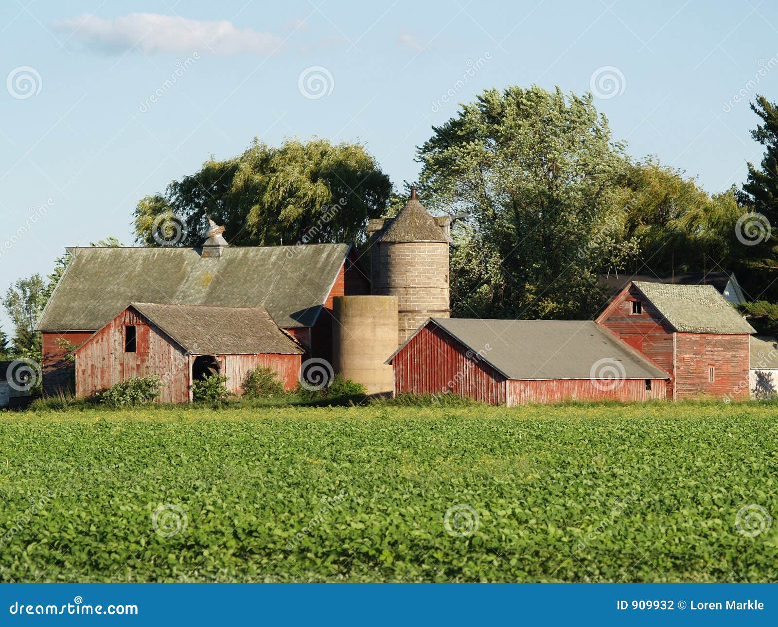 Old Farm House stock photo. Image of growing, house, farming - 909932