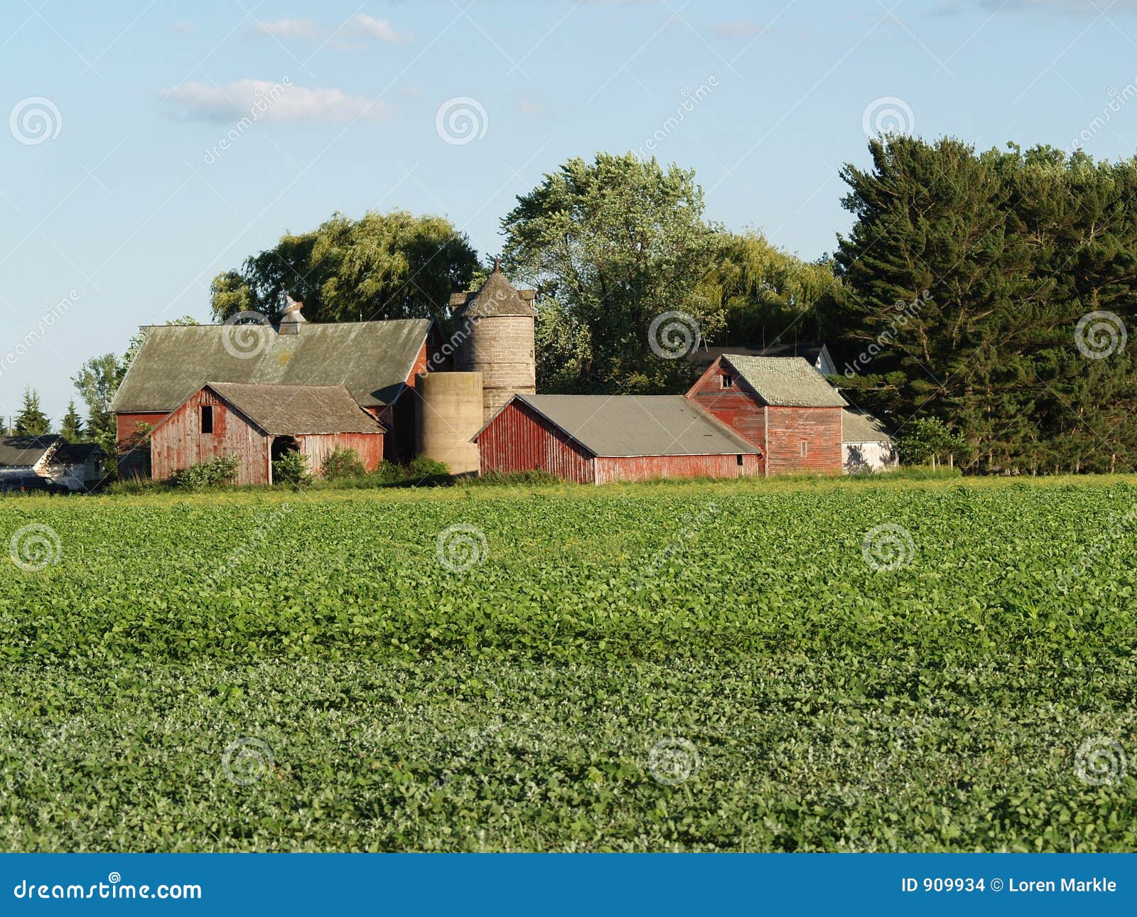Old Farm House stock photo. Image of raise, ranch, farmstead - 909934