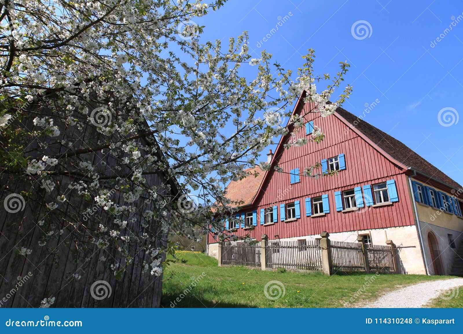 Old Farm House with Blossoming Apple Tree Stock Photo - Image of tree ...