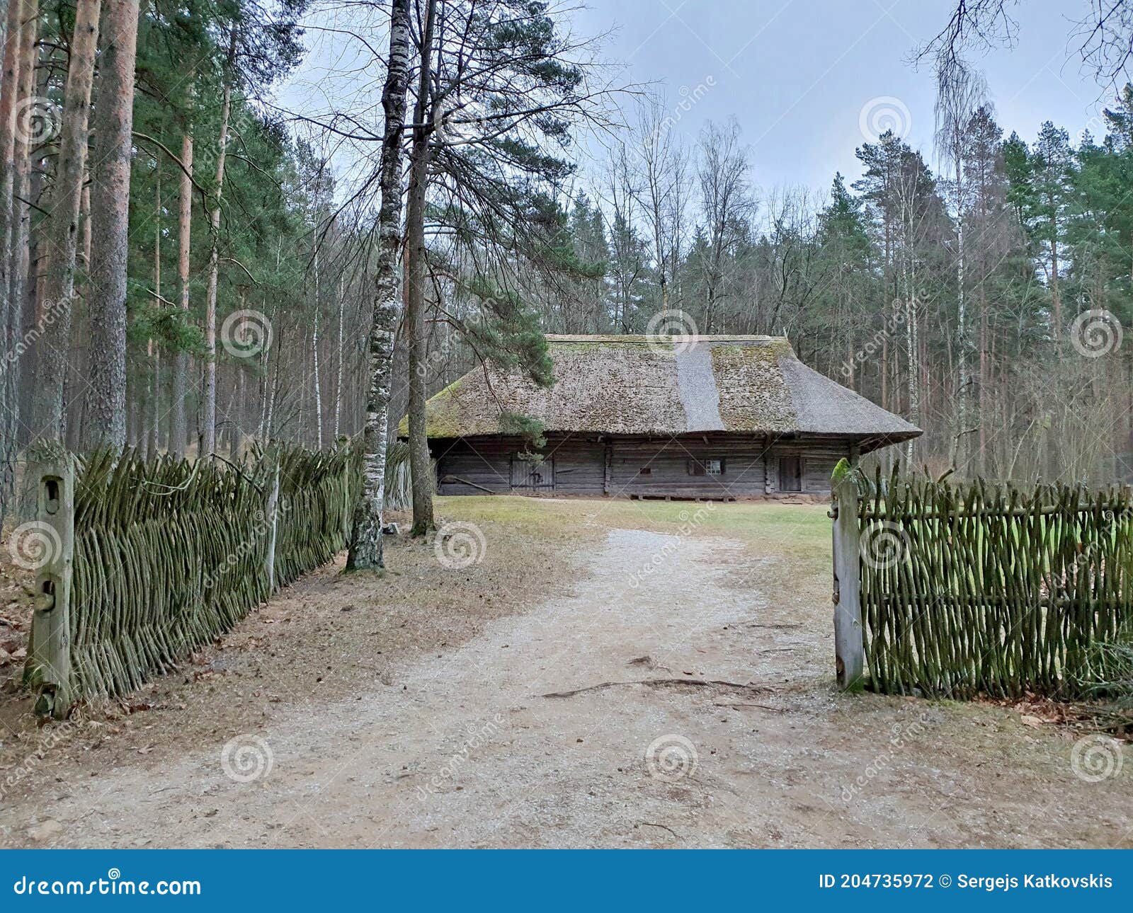 Old Farm House in the Forest Stock Photo - Image of country, barn ...