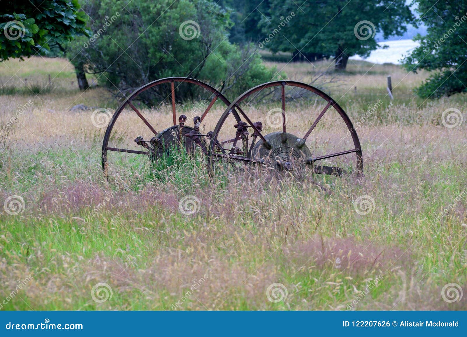 Old Farm Machinery in an Overgrown Field Stock Photo - Image of ...