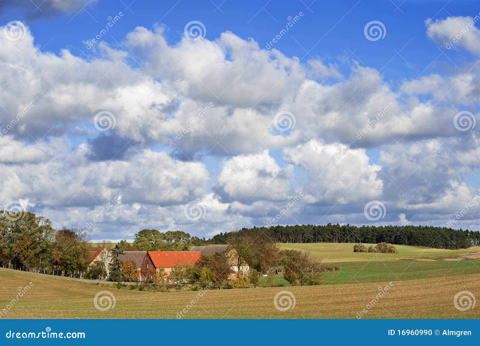 Old Farm in North Germany stock photo. Image of blossom - 16960990