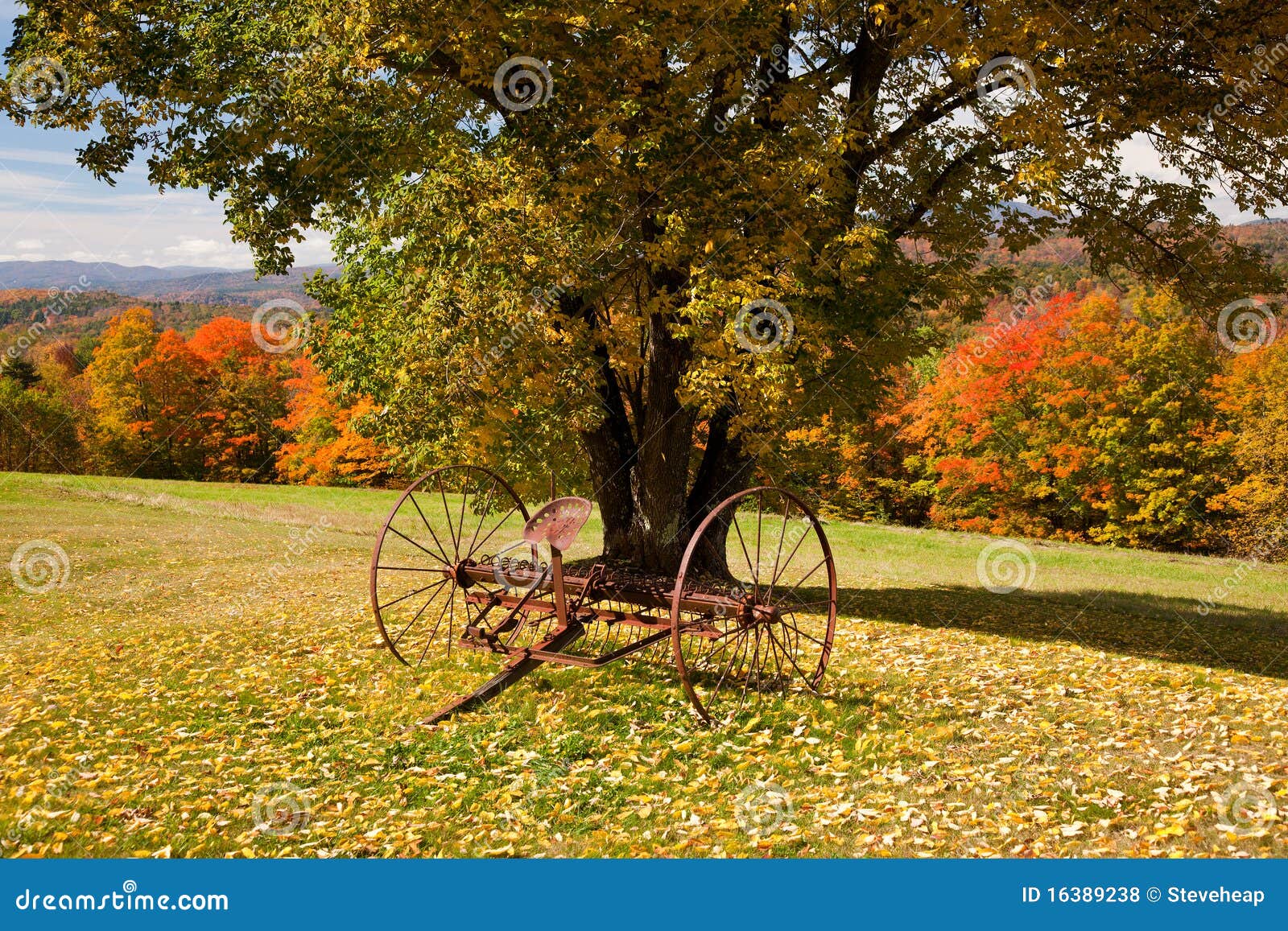 Old farm rake in Vermont stock photo. Image of scenery - 16389238