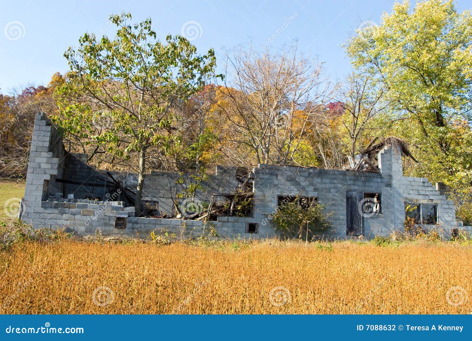 Old Farm Ruins stock photo. Image of dilapidated, north - 7088632