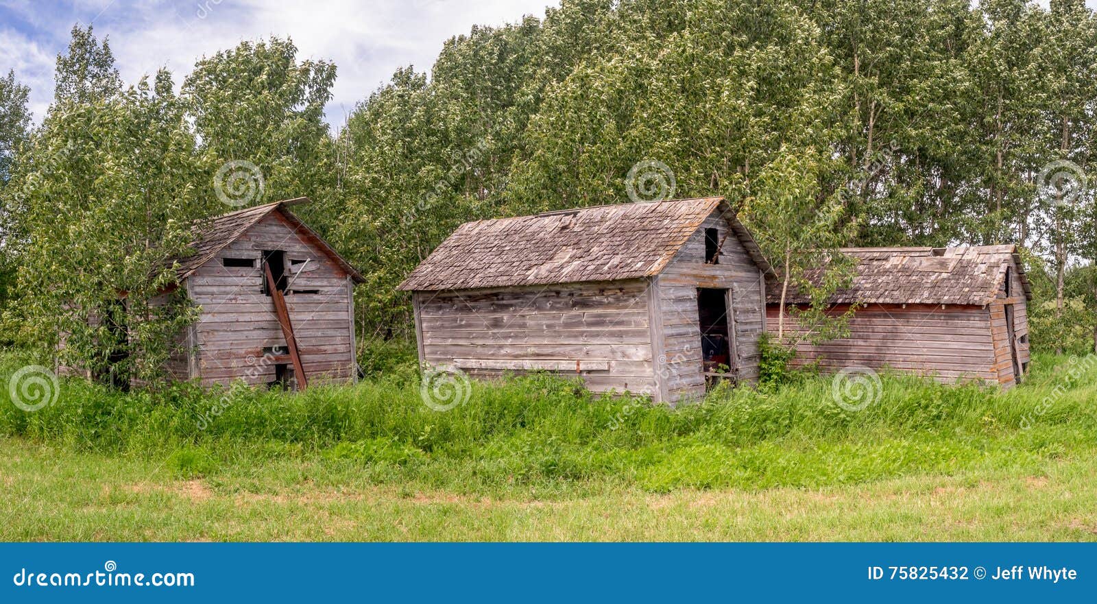 Old Farm Sheds Beyond Post And Rail Fences In Rustic Rural Scene Stock ...