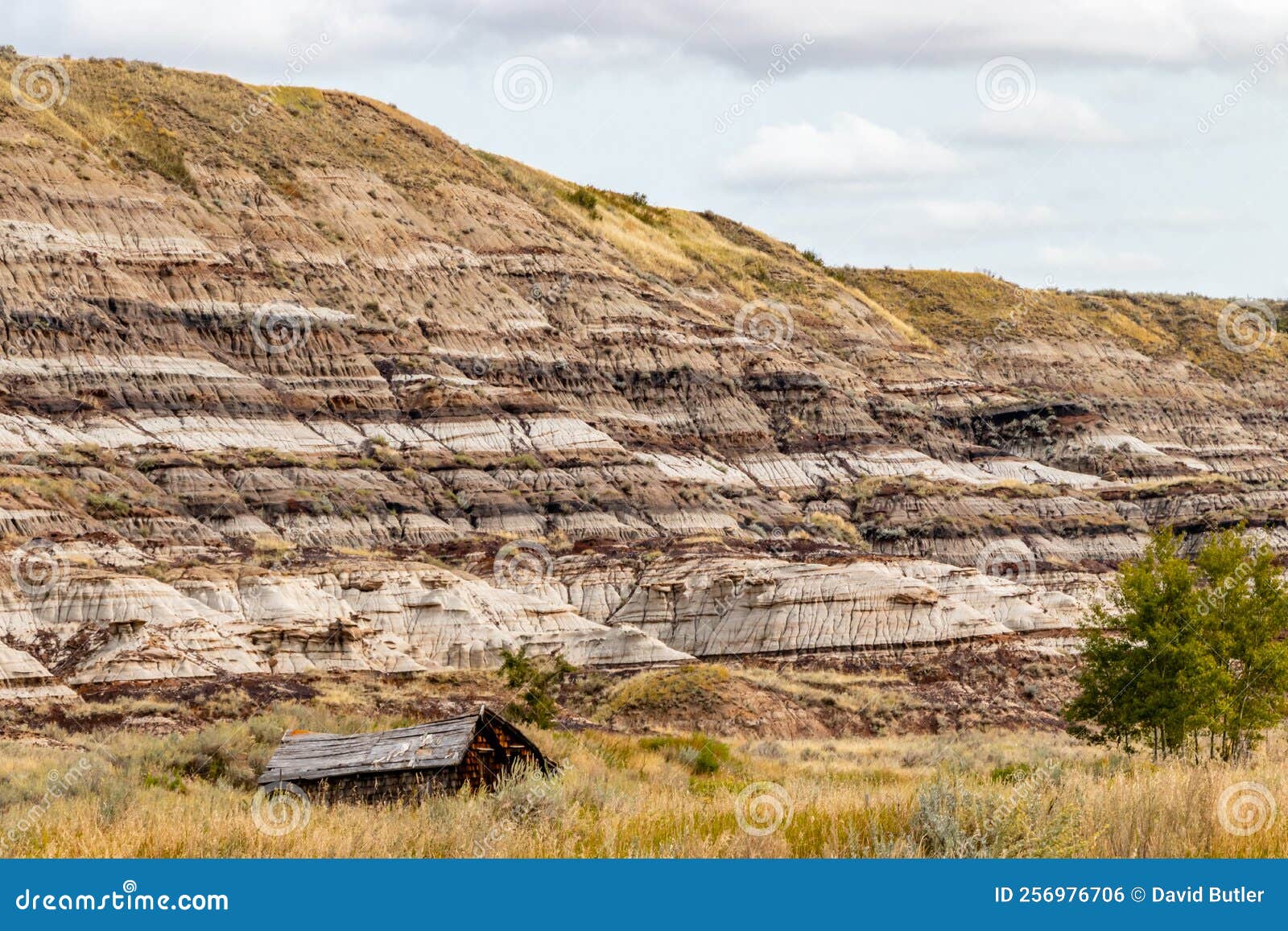 Old Farm Structure in the Shadow of the Badlands. Rosedale, Alberta ...