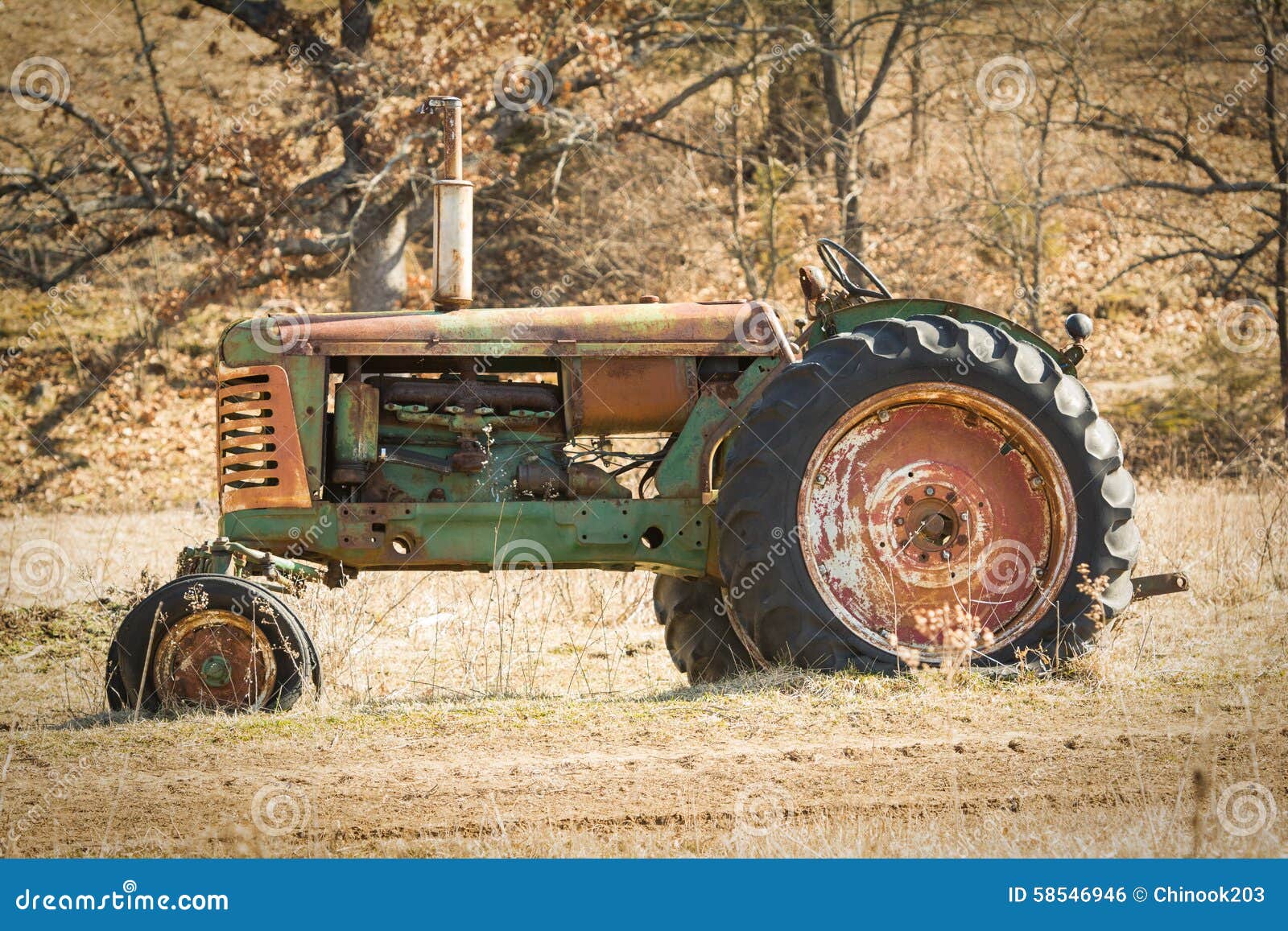Old farm tractor stock photo. Image of beautiful, healthy - 58546946