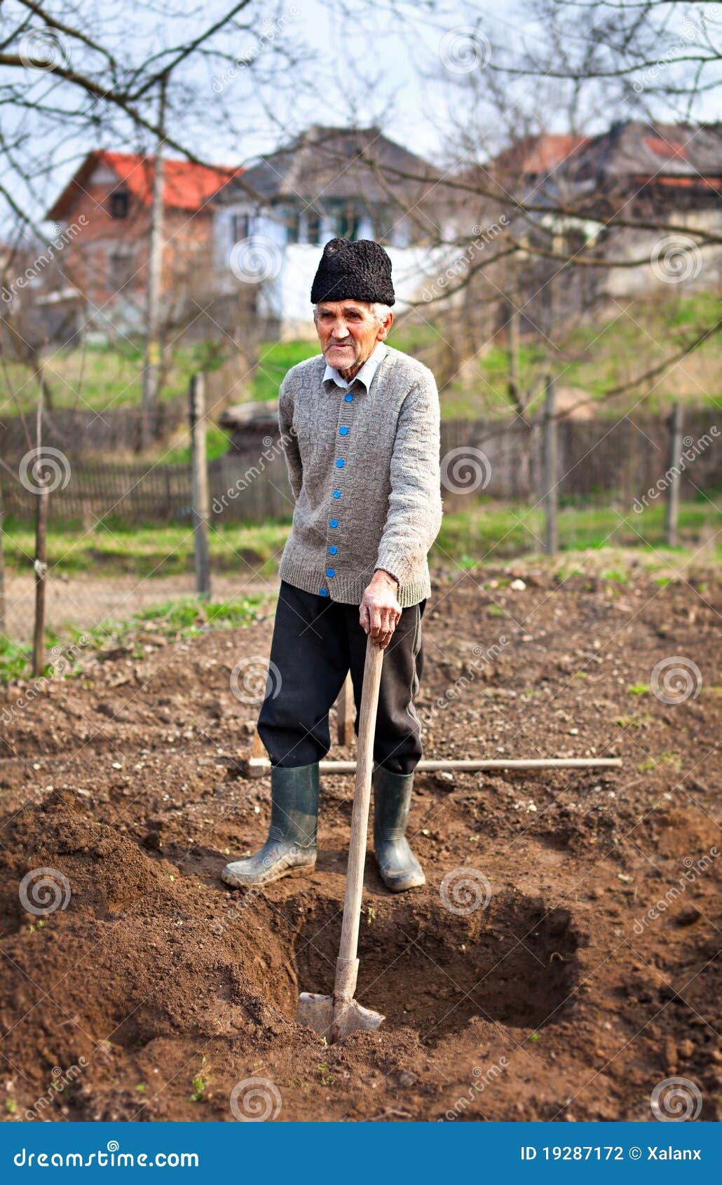 Old Farmer Digging in the Garden Stock Photo - Image of shovel, nature ...