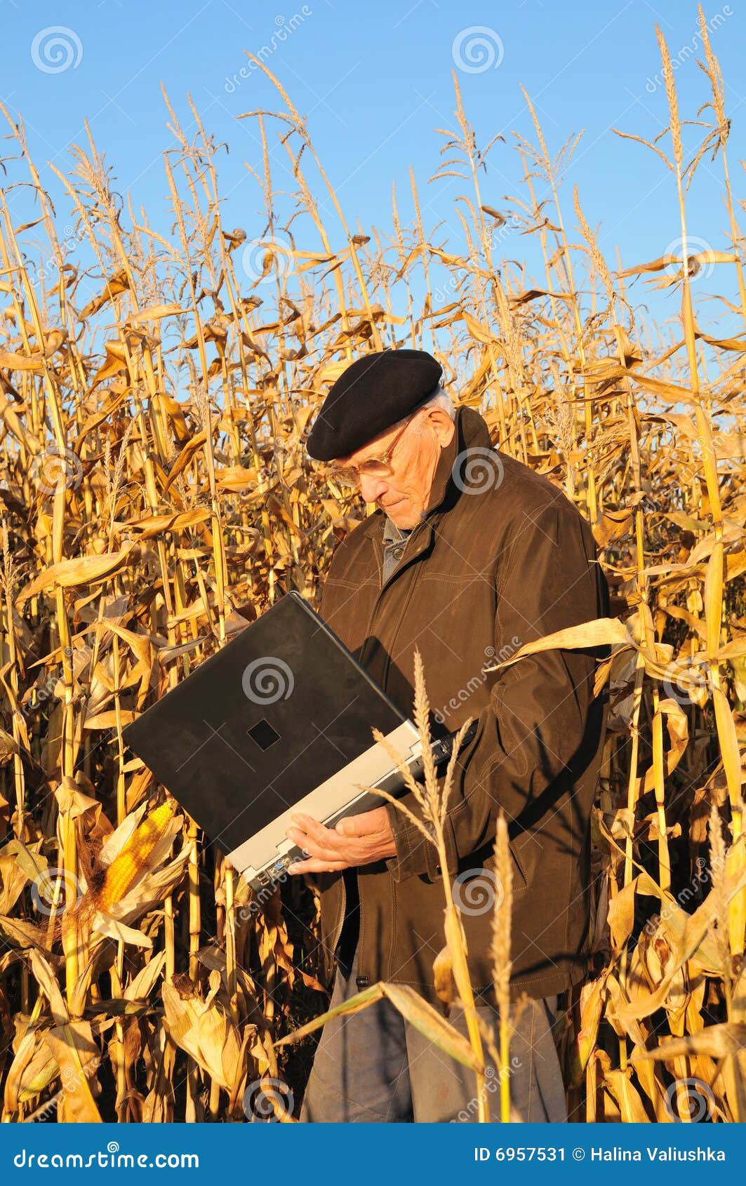 Old farmer in field stock image. Image of calm, happiness - 6957531