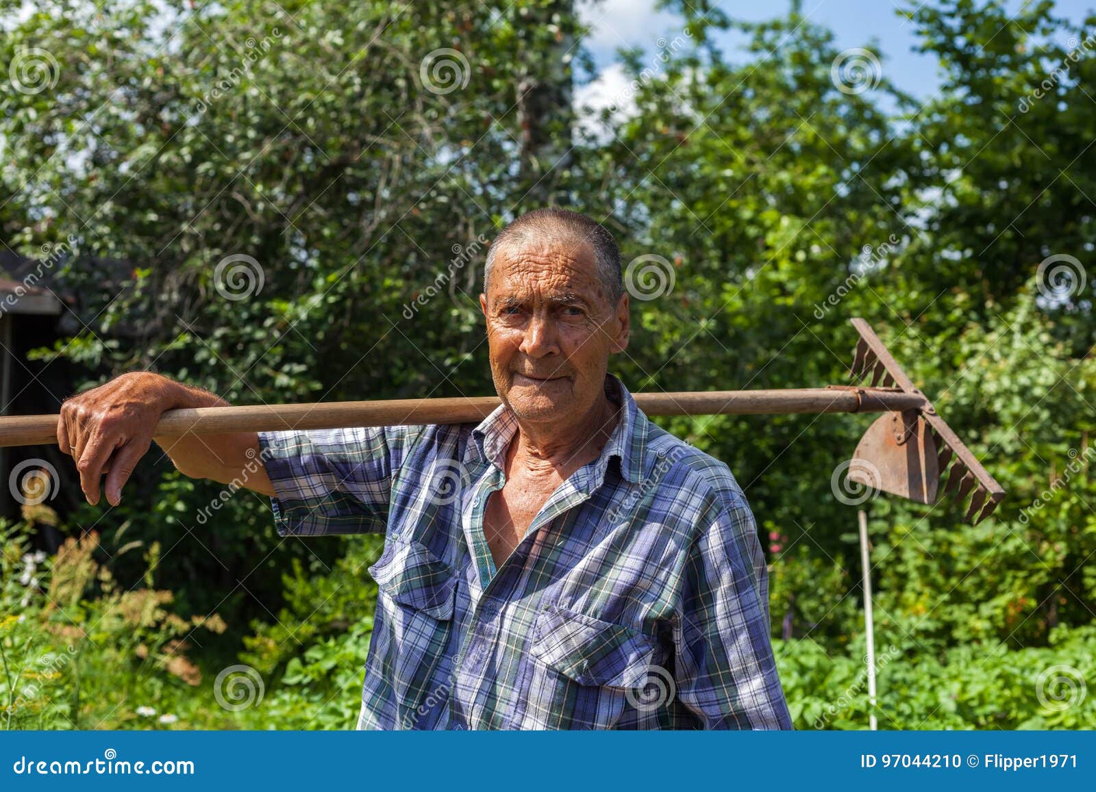 An Old Farmer with a Rake on His Shoulder Stock Photo - Image of ...