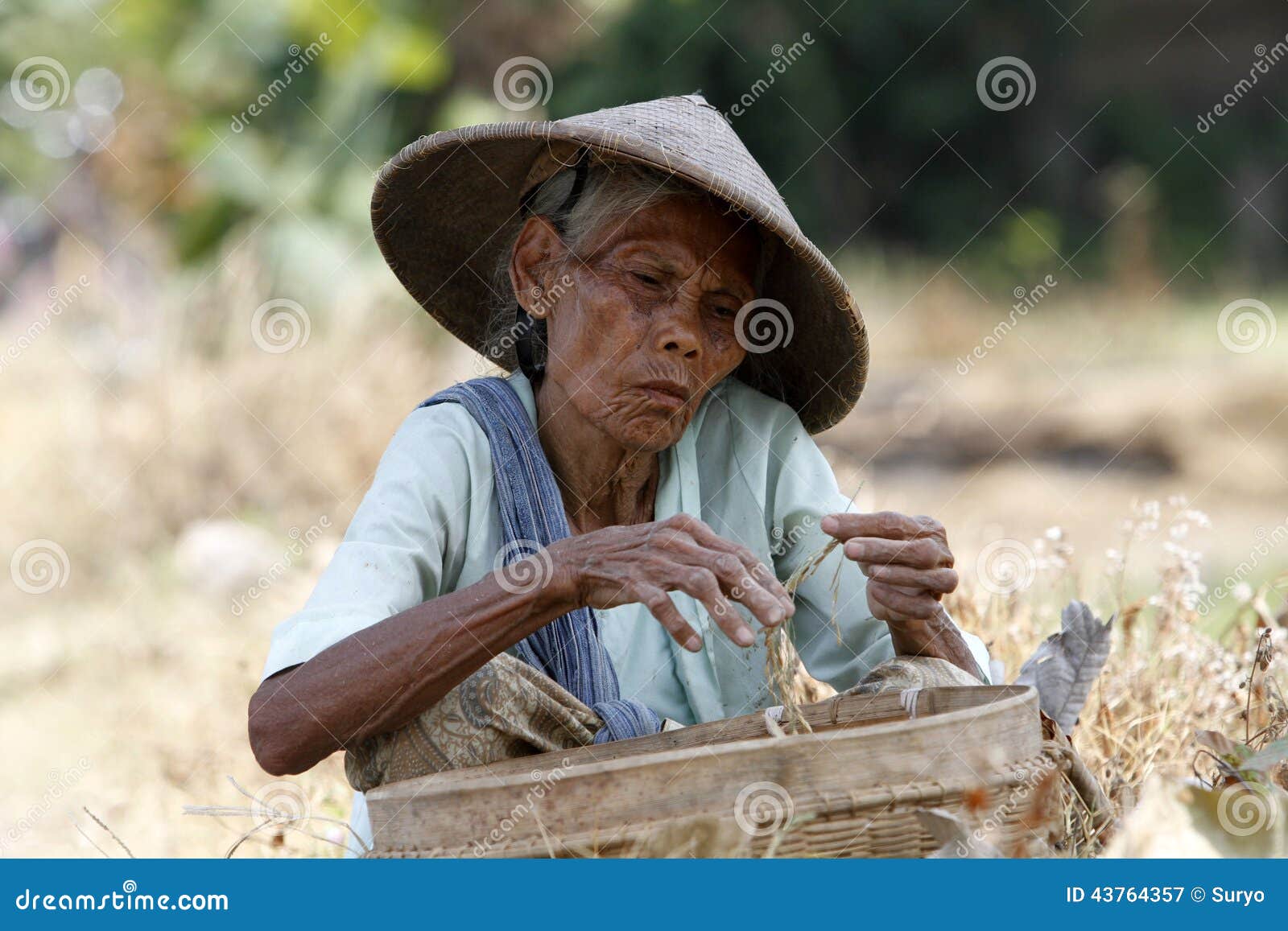 Old farmer editorial photography. Image of women, people - 43764357