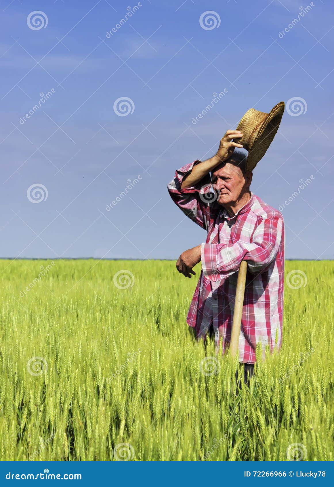 Old Farmer Wipe the Sweat on Break from Work in Field Stock Photo ...