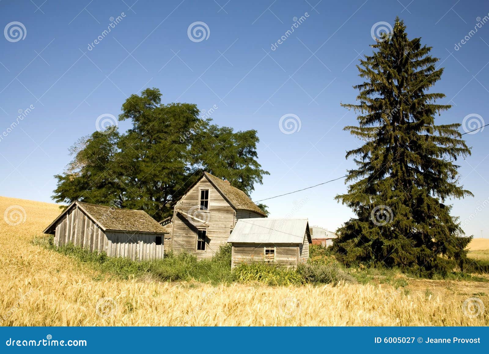 Old Farmhouse in the Country Stock Image - Image of farmyard, vintage ...