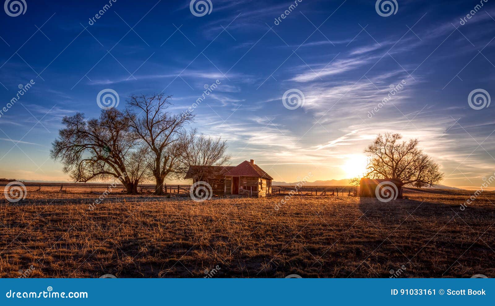 2,766 Old Prairie Tree Stock Photos - Free & Royalty-Free Stock Photos ...