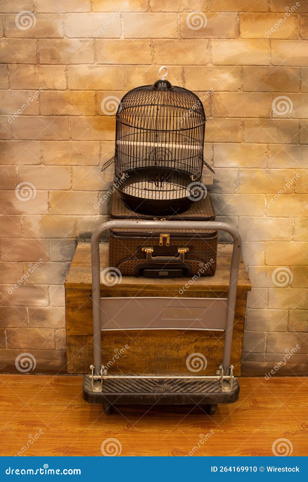 Old-fashioned Bird Cage on the Cases Stock Photo - Image of nature ...