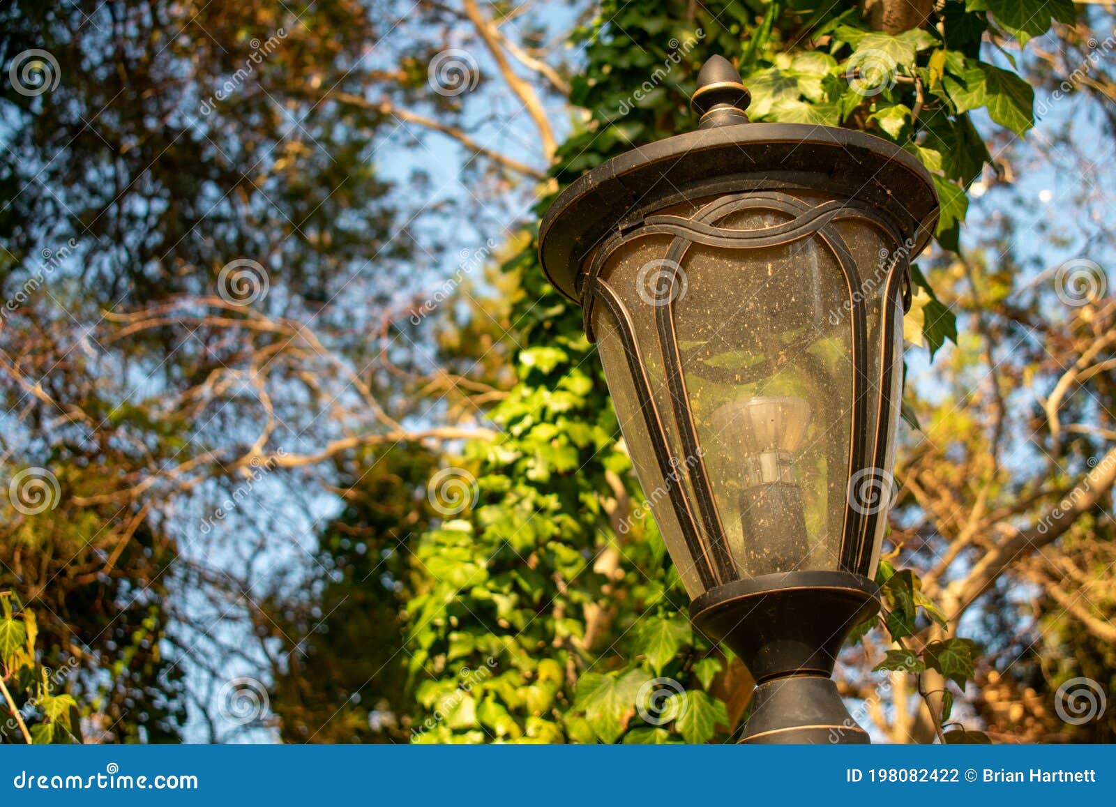 An Old Fashioned Light Post with a Tree Behind it Stock Photo - Image ...