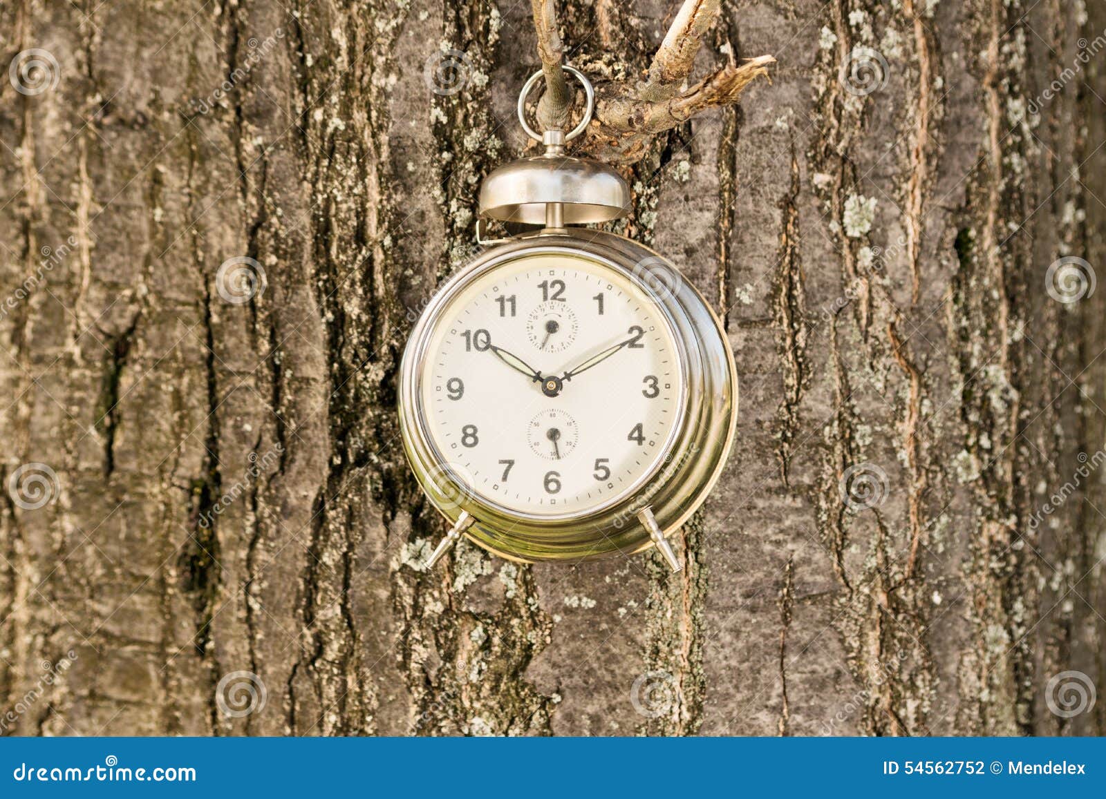 Old Fashioned Clock Hanged on a Tree Stock Photo - Image of environment ...