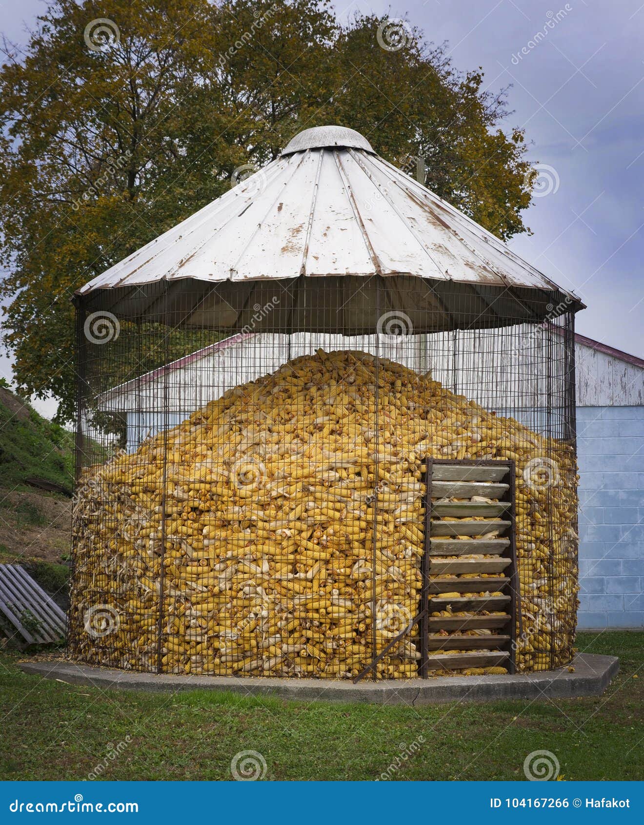 Old Fashioned Corn Storage Silo on an Amish Farm Stock Photo - Image of ...
