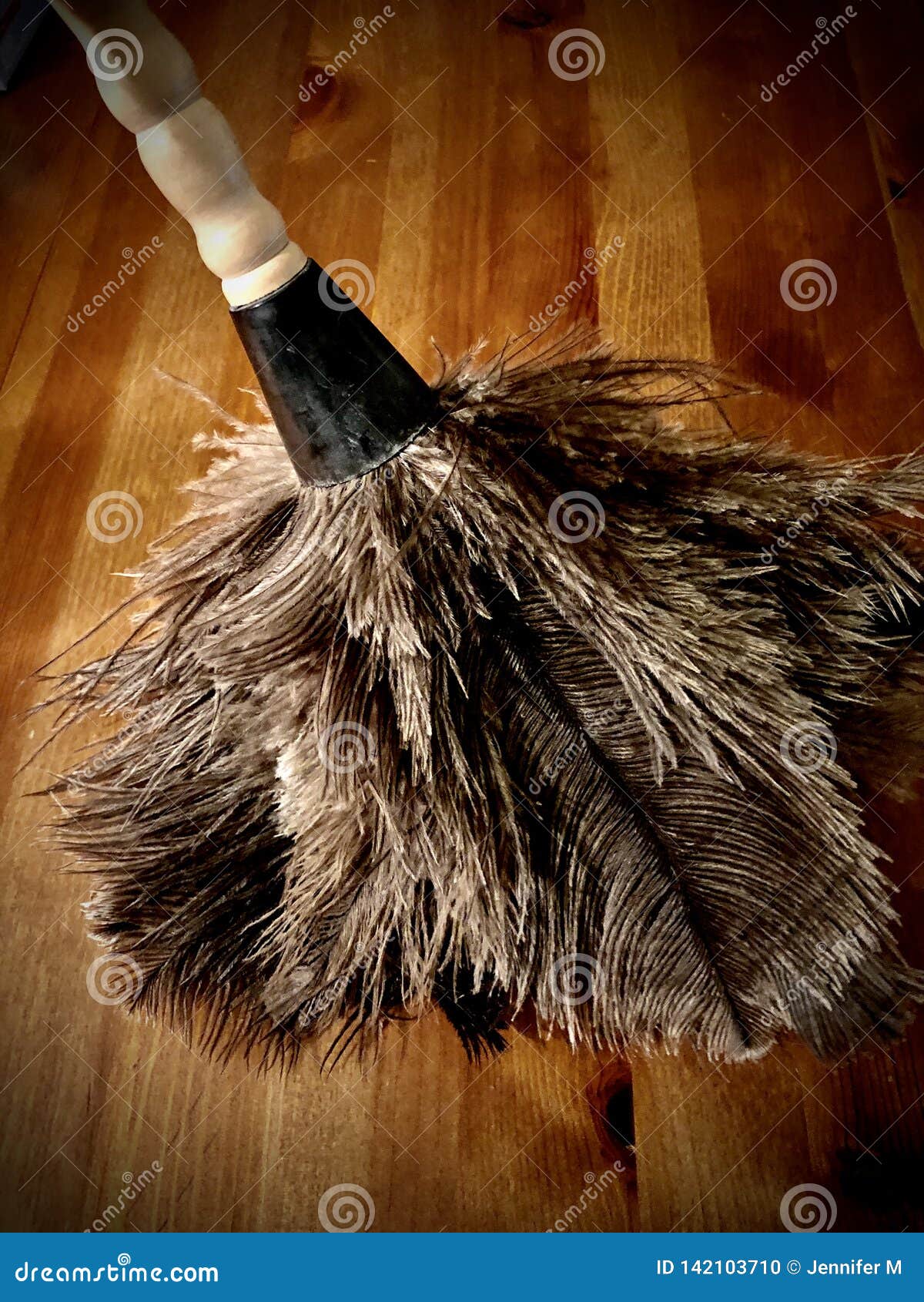Feather duster stock photo. Image of housework, equipment - 142103710