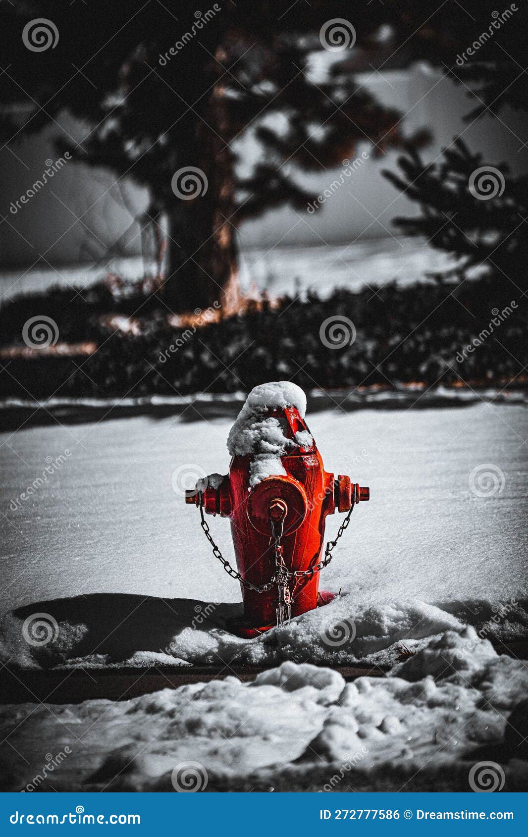 An Old Fashioned Fire Hydrant Sitting in the Snow Near Trees Stock ...