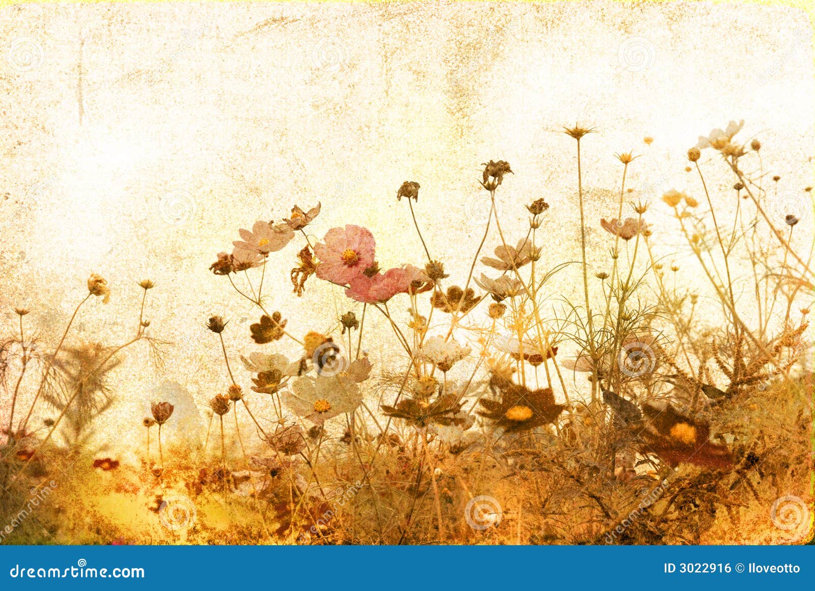 Old-fashioned Flower Stock Photography | CartoonDealer.com #3022916