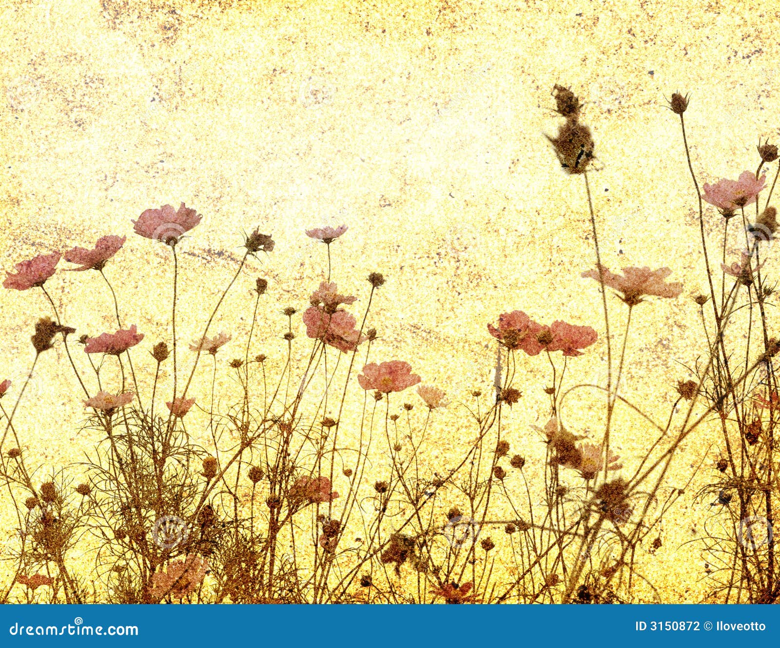 Old-fashioned Flower Stock Photo | CartoonDealer.com #3089568