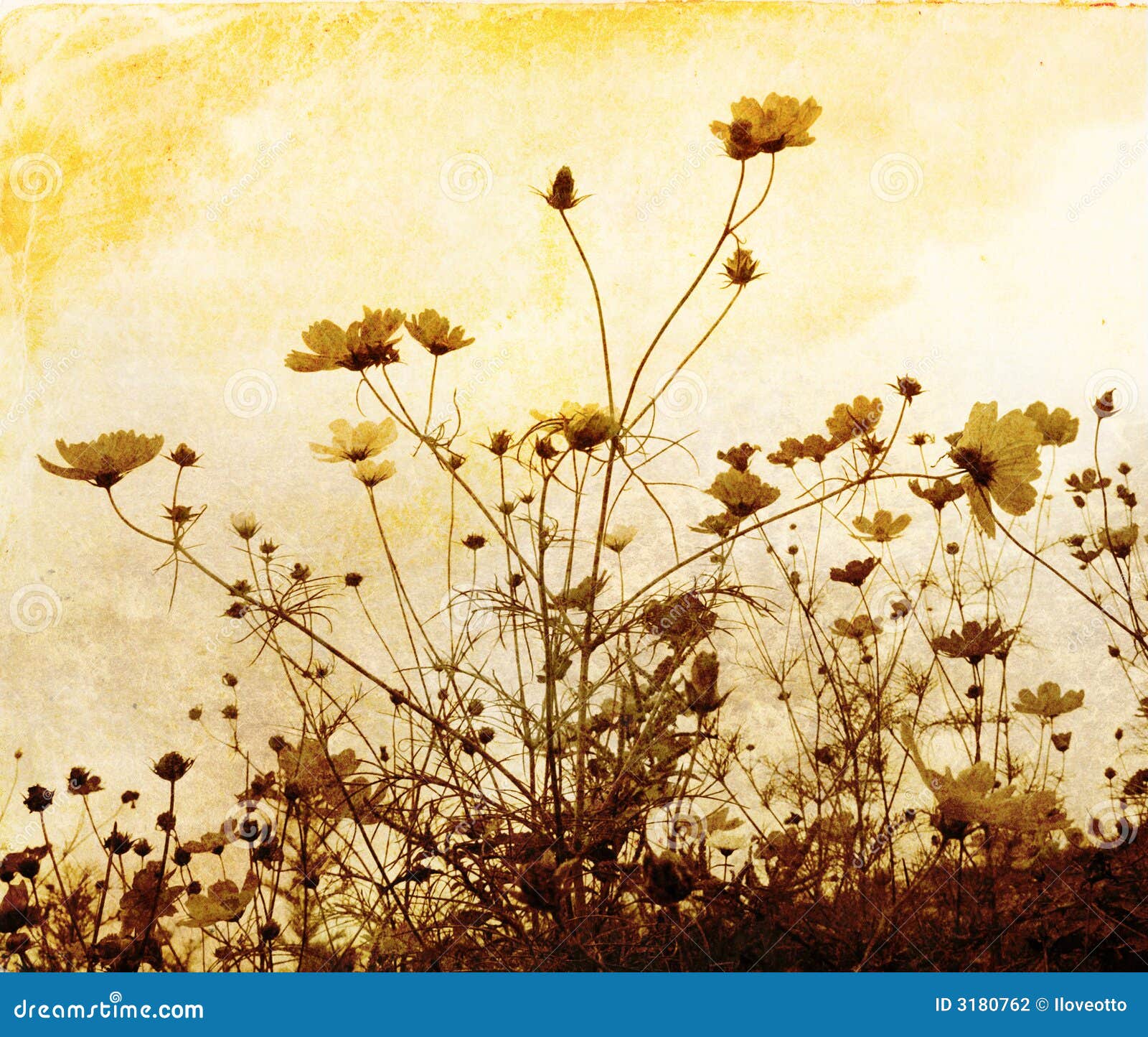 Old-fashioned Flower Stock Photography | CartoonDealer.com #2914880