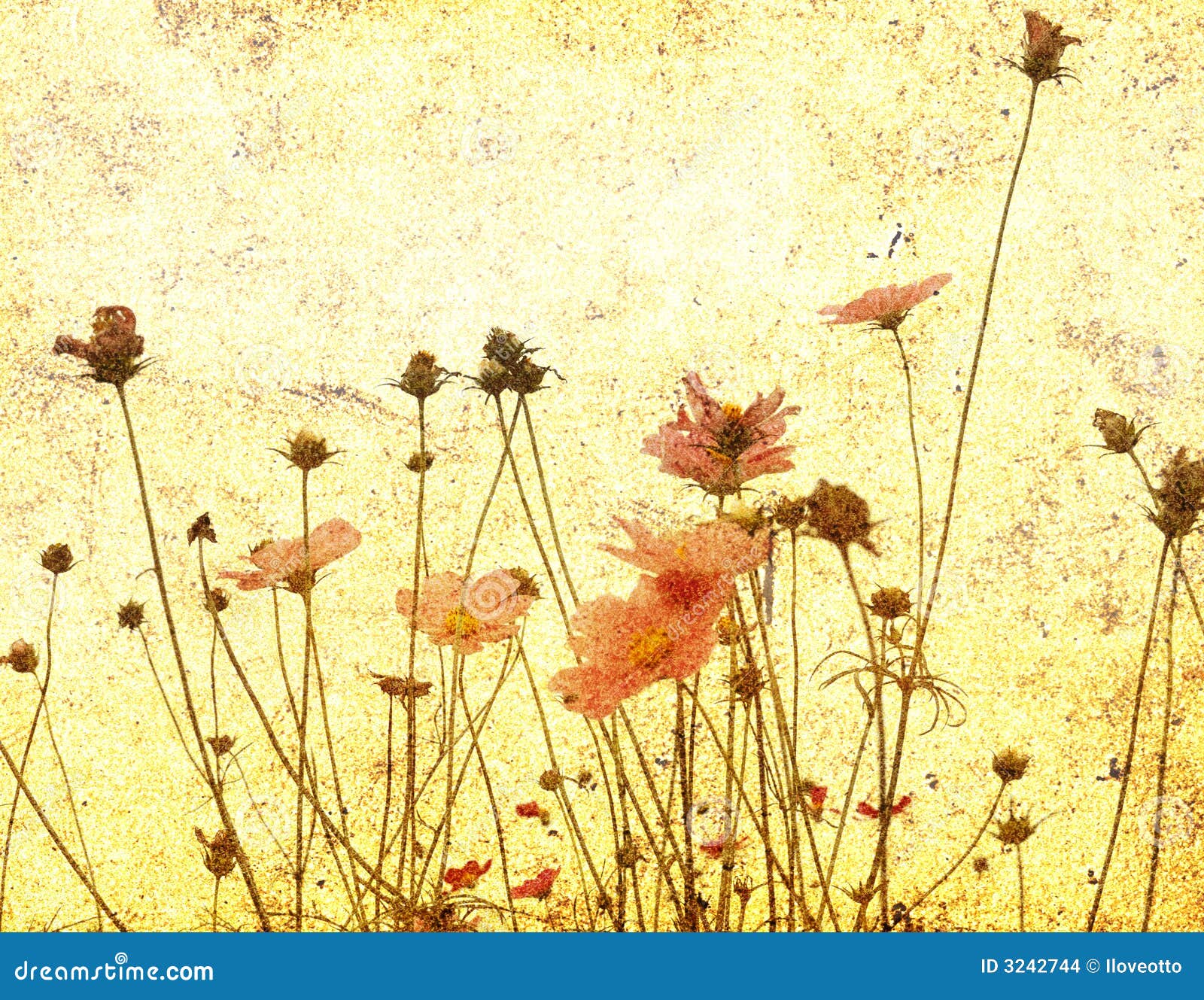 Old-fashioned Flower Royalty-Free Stock Image | CartoonDealer.com #2892316