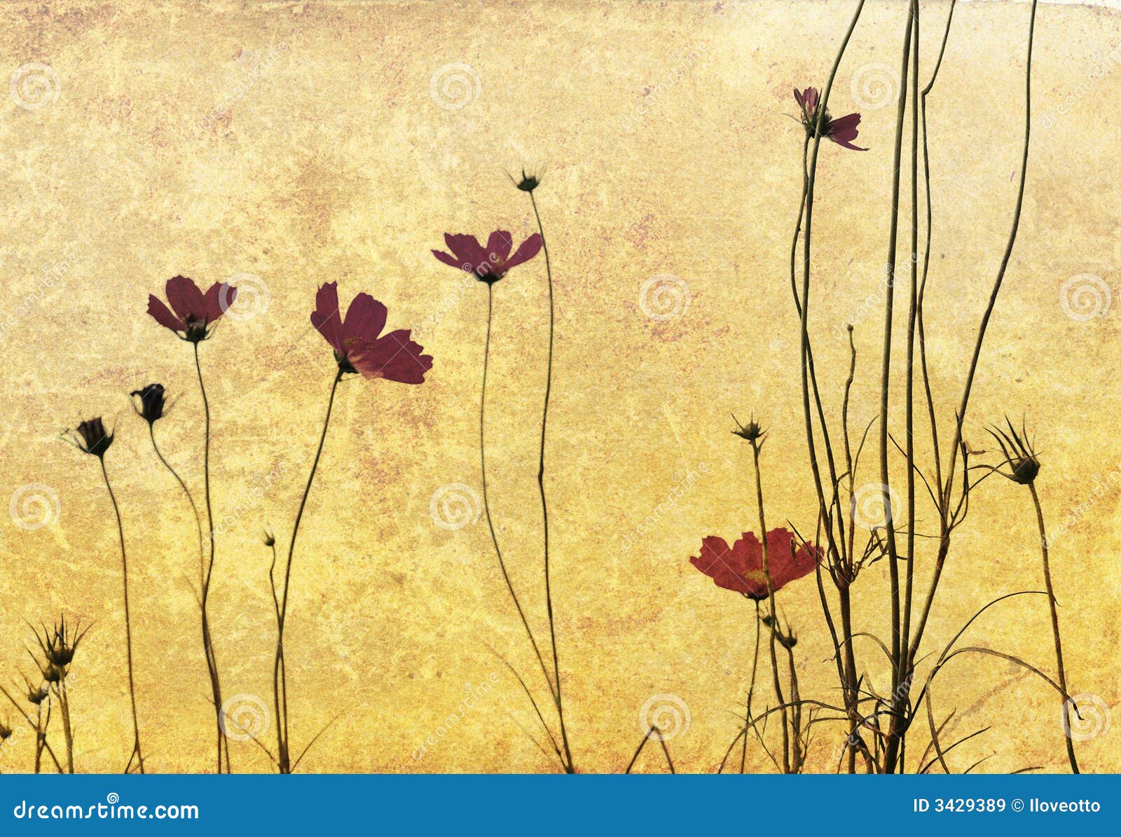 Old-fashioned Flower Stock Photography | CartoonDealer.com #2914880