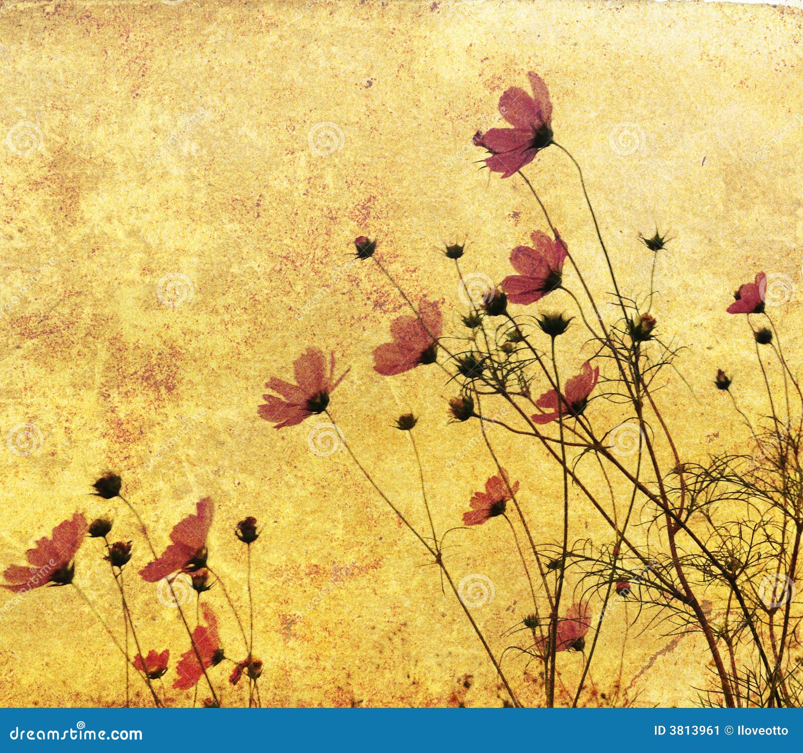 Old-fashioned flower stock illustration. Illustration of crumpled - 3813961