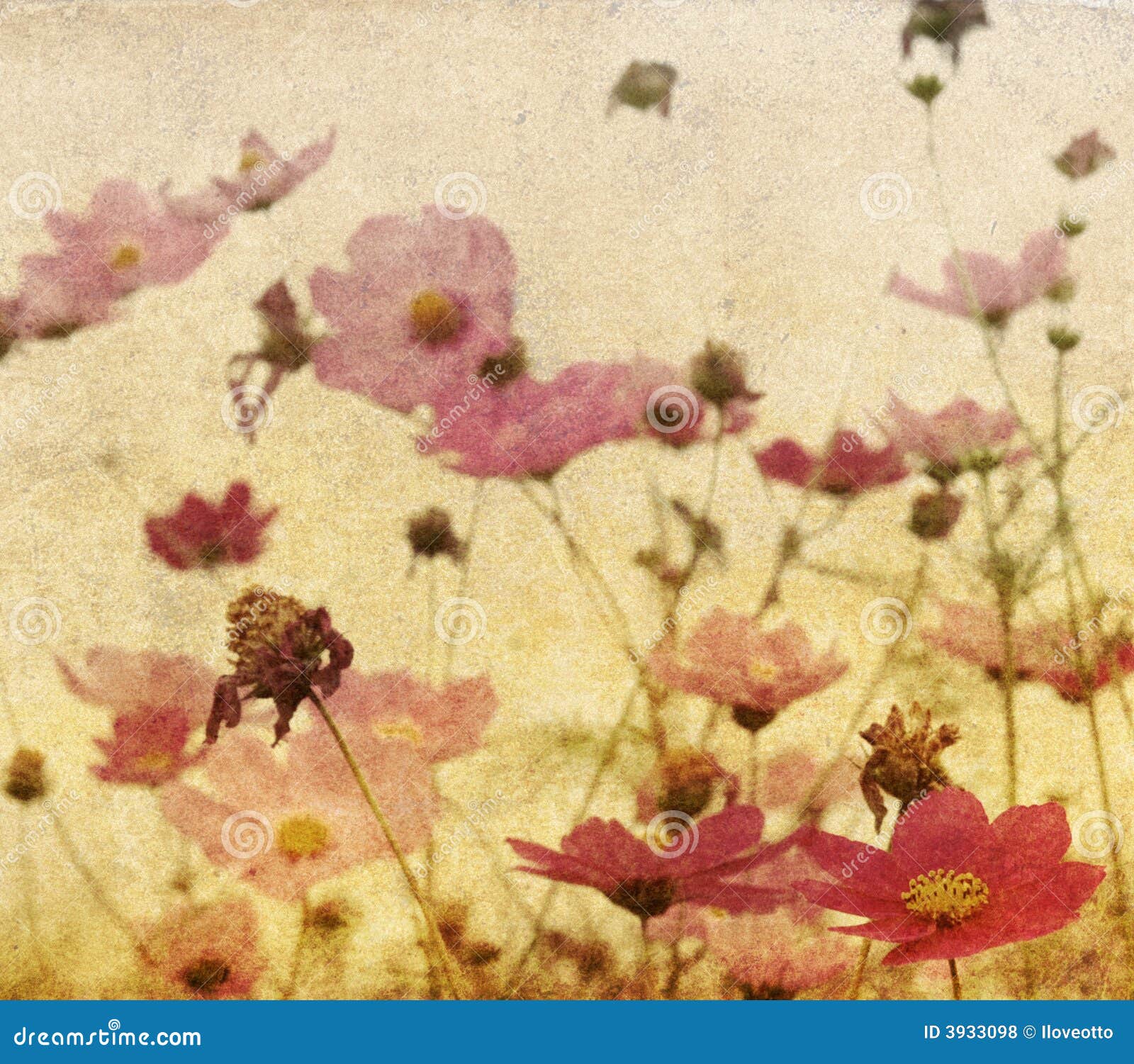 Old-fashioned Flower Royalty-Free Stock Image | CartoonDealer.com #2892316