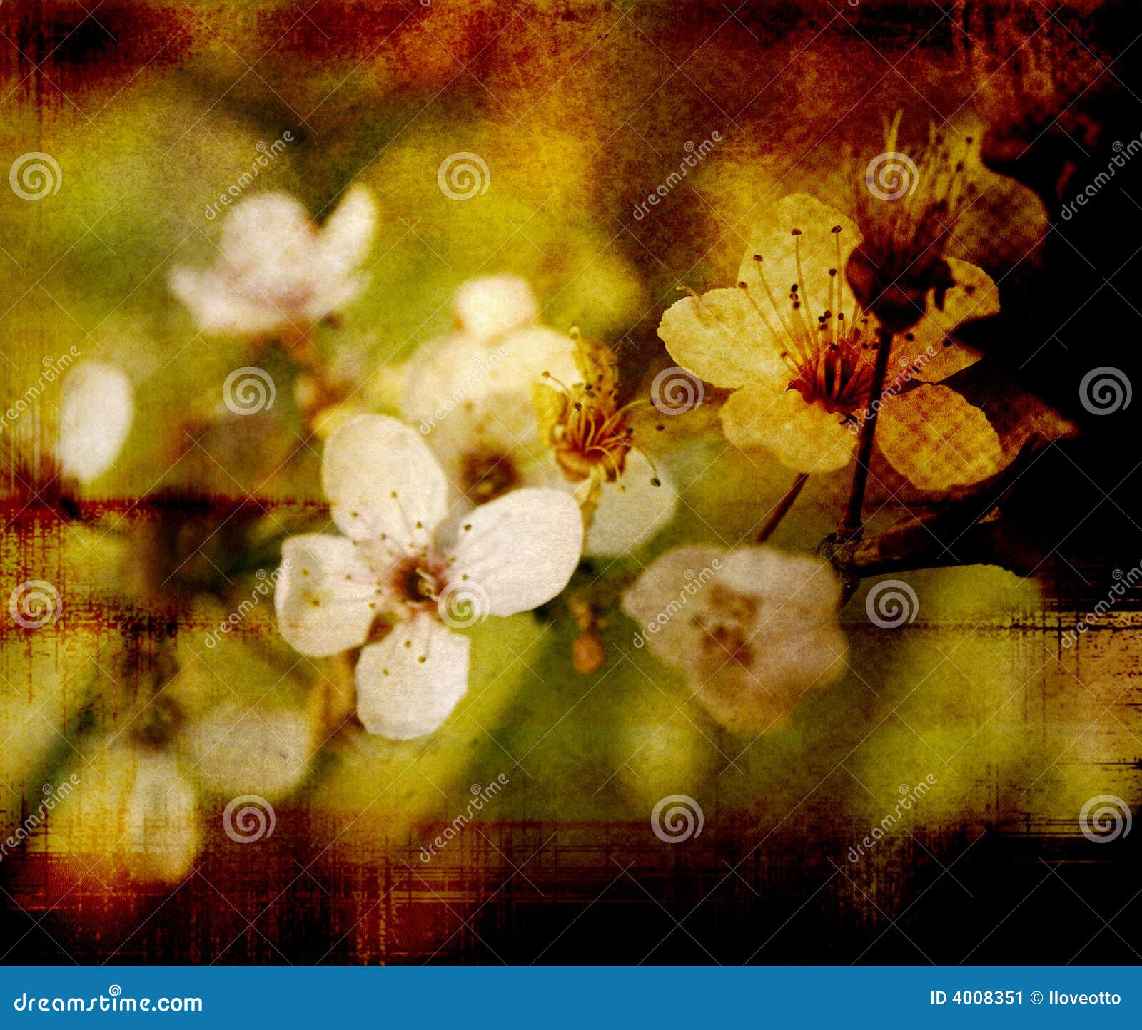 Old-fashioned flower stock illustration. Illustration of grain - 4008351