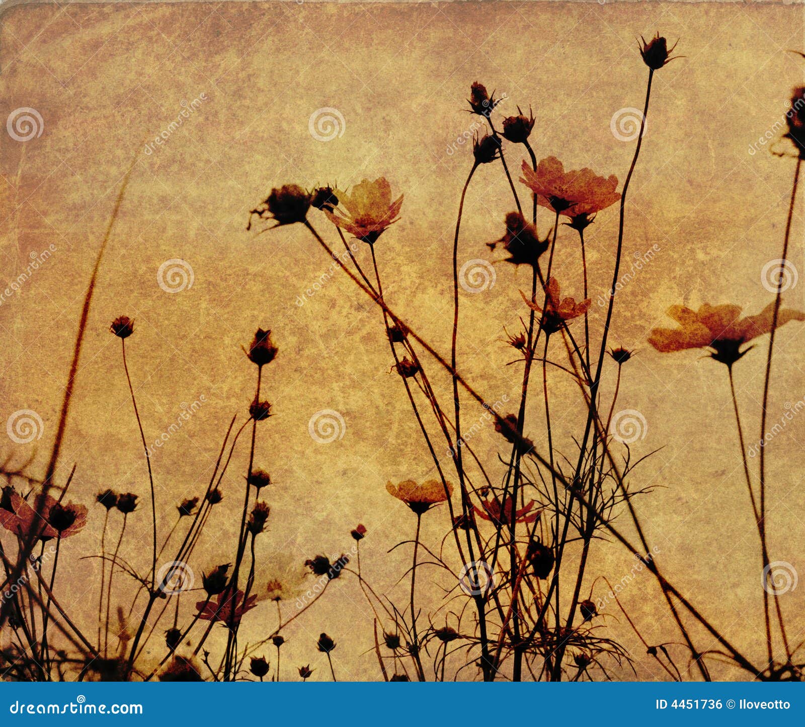 Old-fashioned flower stock photo. Image of damaged, fashioned - 4451736