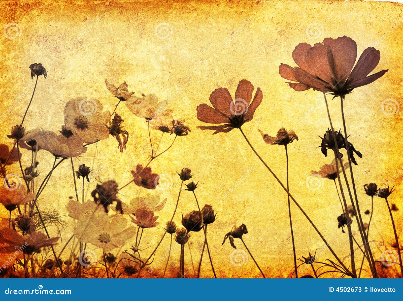 Old-fashioned flower stock image. Image of grungy, empty - 4502673