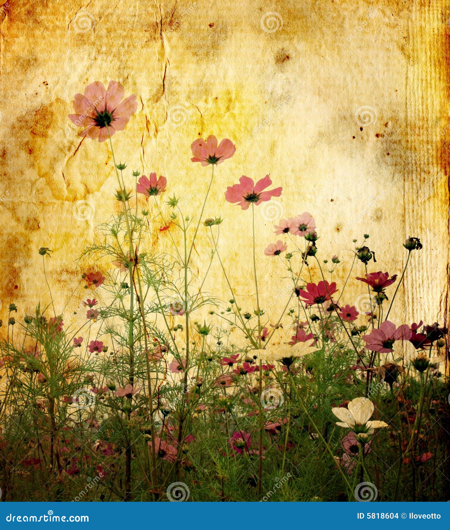 Old-fashioned flower stock photo. Image of grungy, graphic - 5818604
