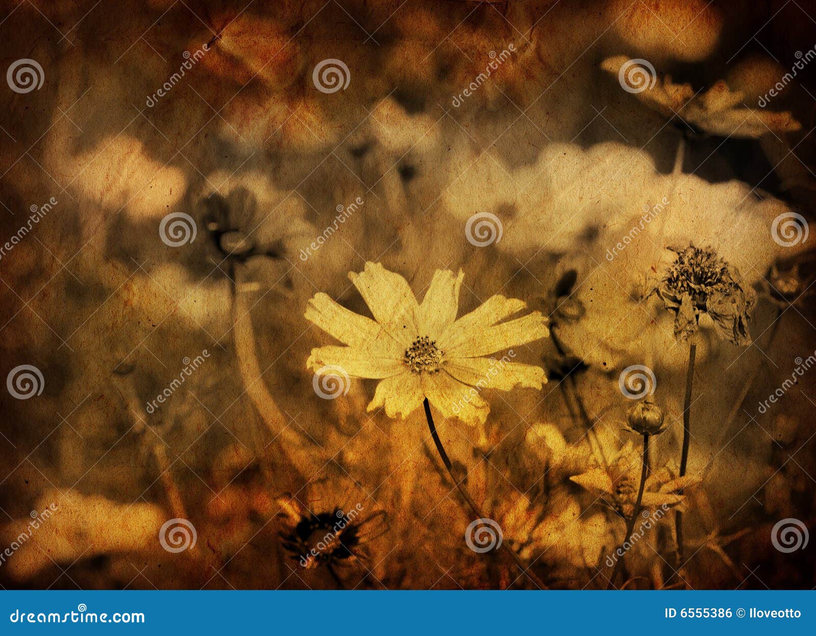 Old-fashioned flower stock illustration. Illustration of ancient - 6555386