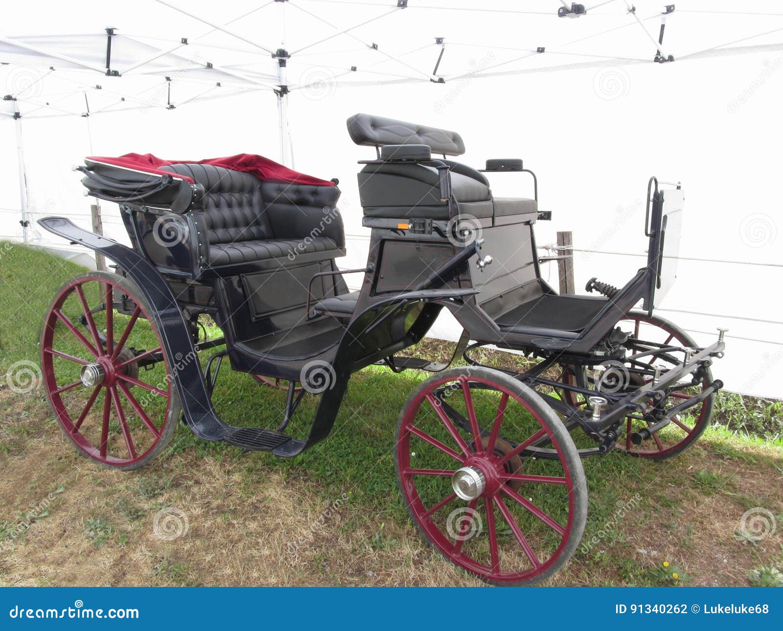 Old-fashioned Horse Carriage on Green Grass Stock Photo - Image of ...