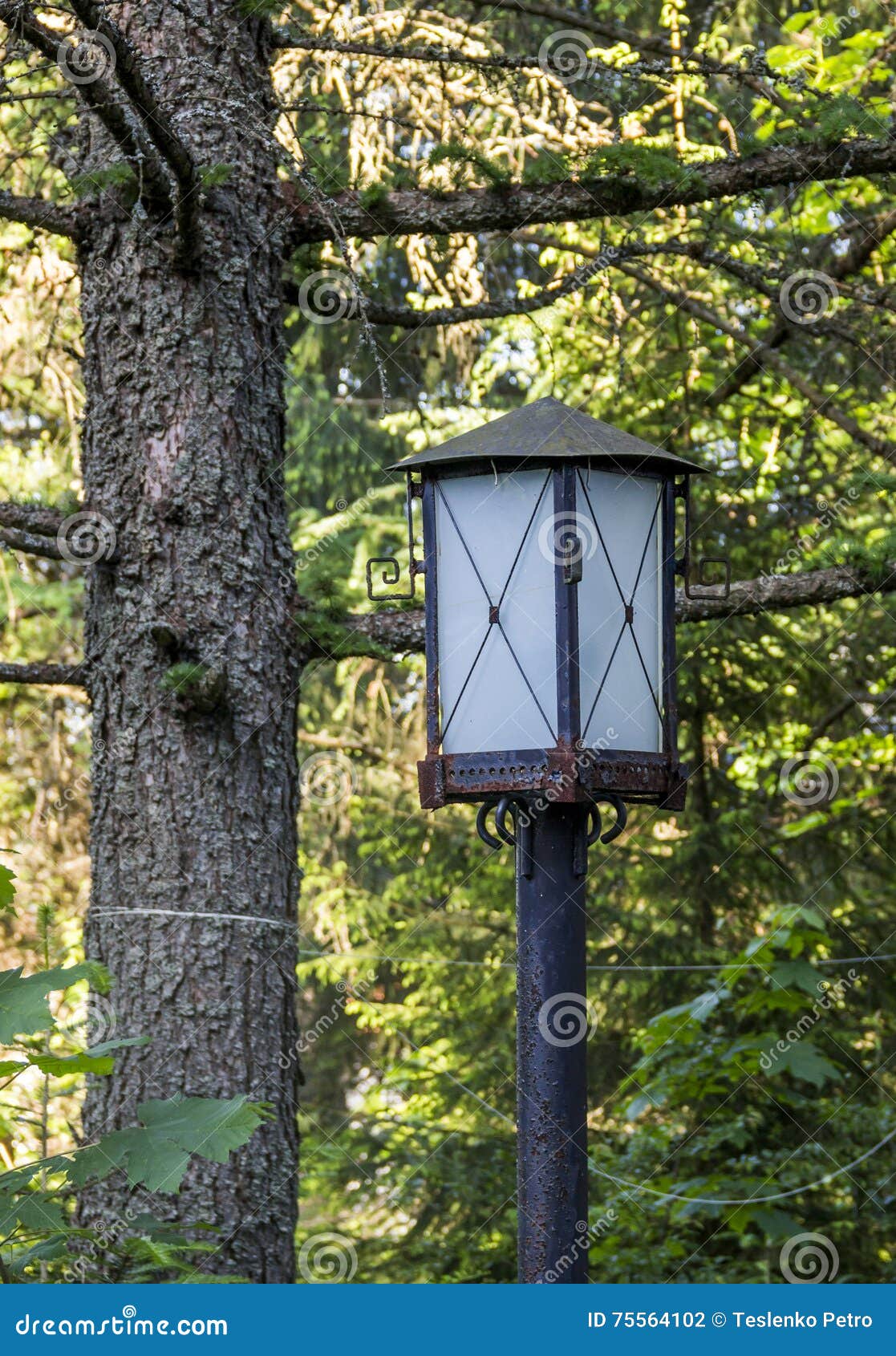 Old-fashioned lamp post stock photo. Image of design - 75564102