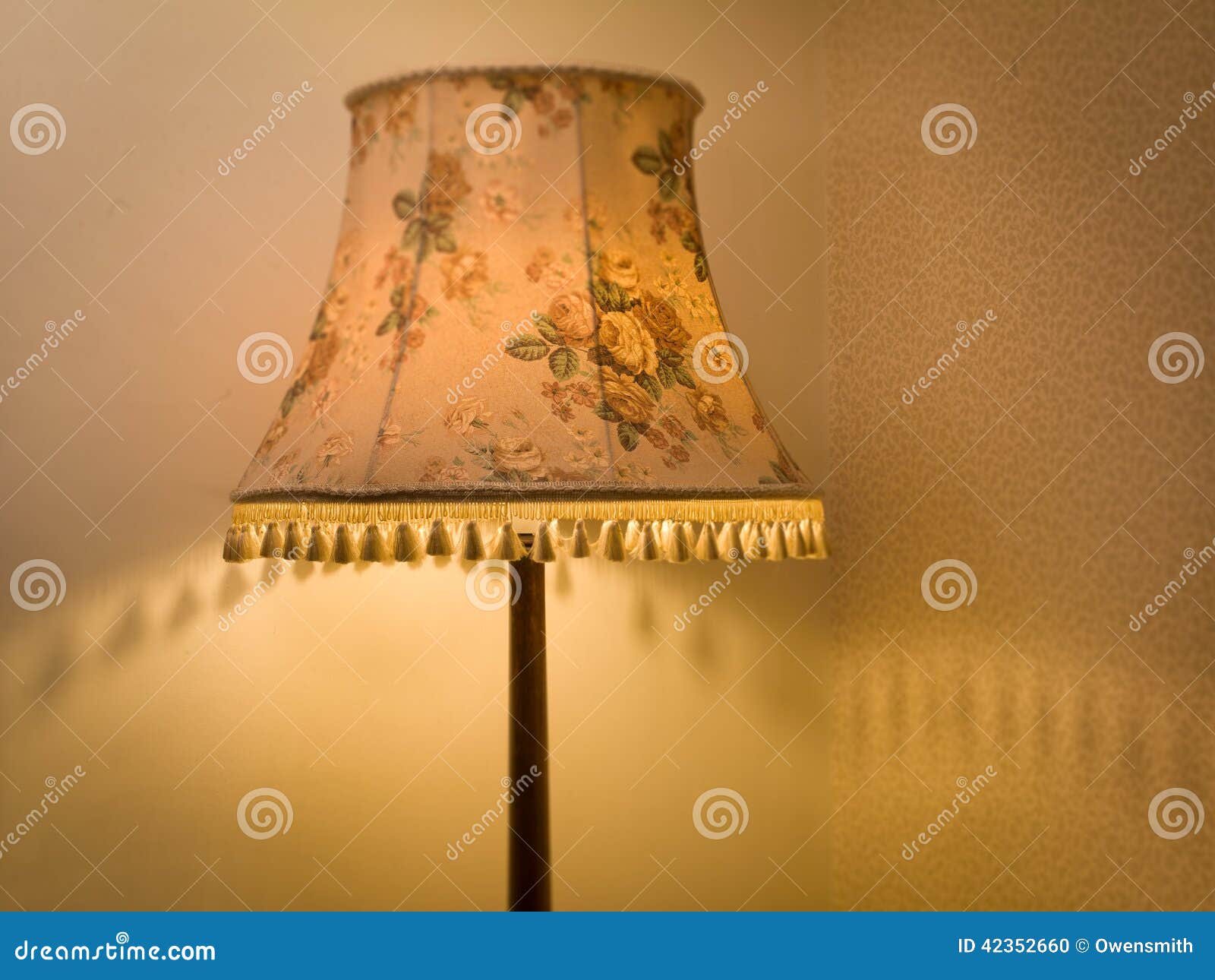 Old Fashioned Lampshade stock photo. Image of wallpaper - 42352660