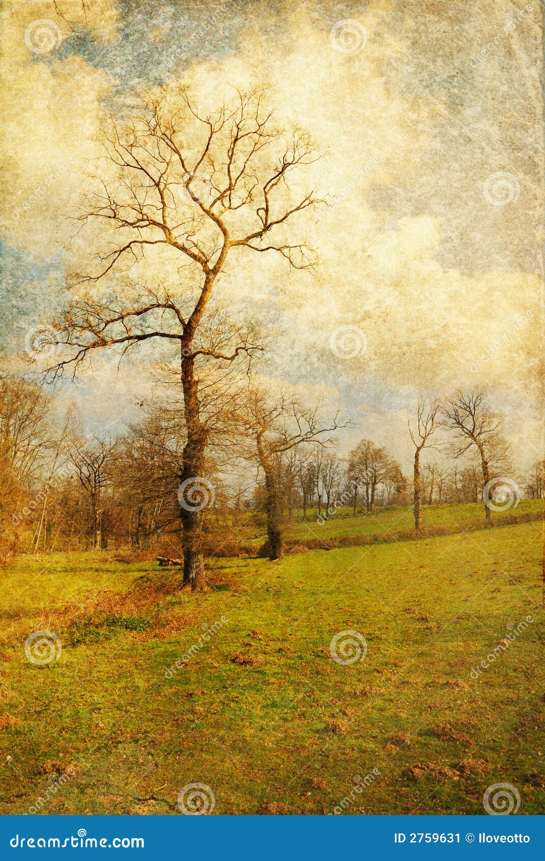 Old-fashioned landscape stock image. Image of material - 2759631